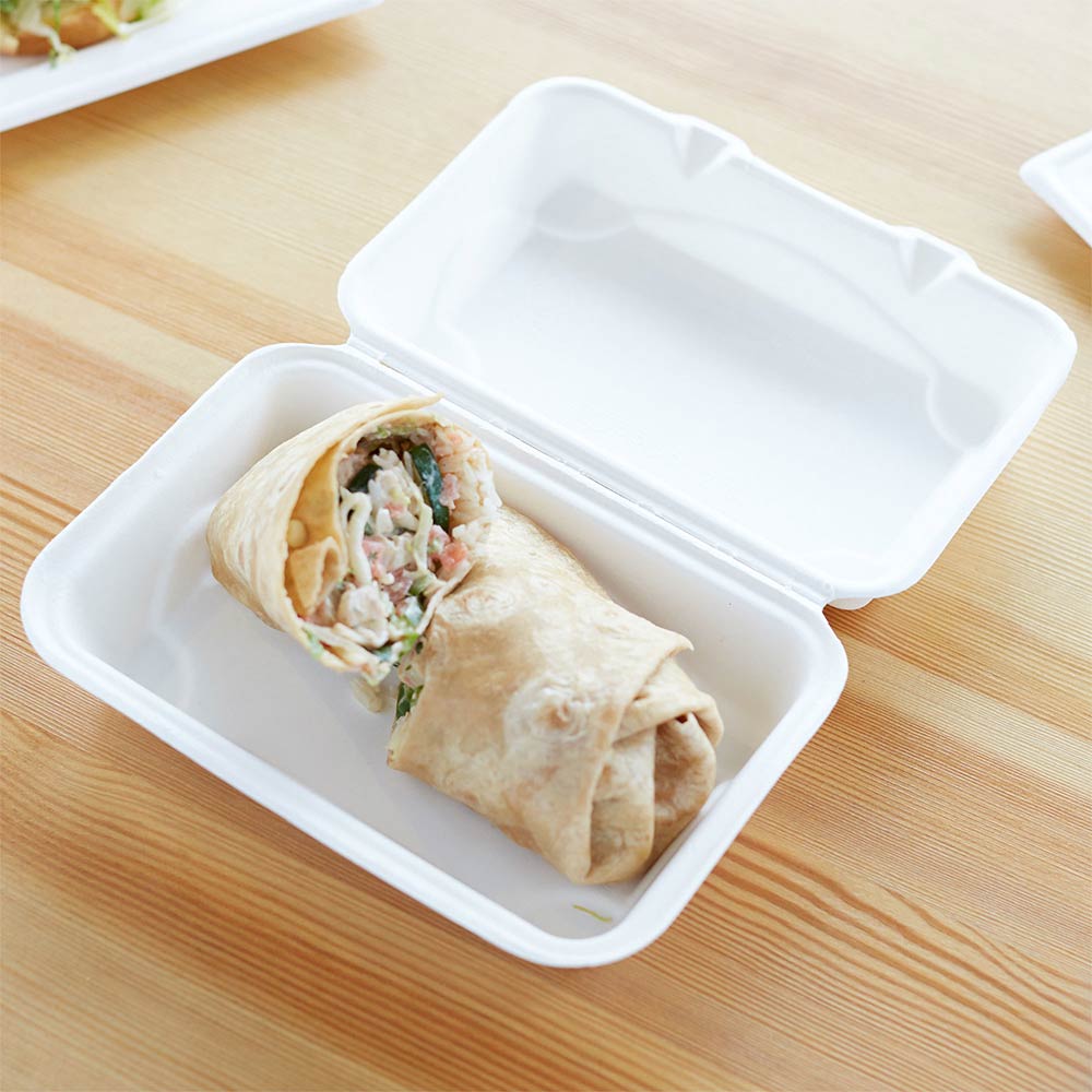 Eco-Products 9" Sugarcane Hoagie Clamshell Container – LetsGoGreen.biz